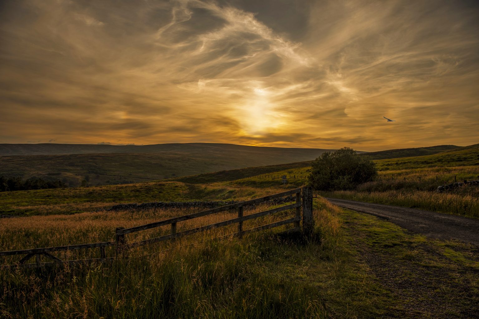Homepage - Tarras Valley Nature Reserve