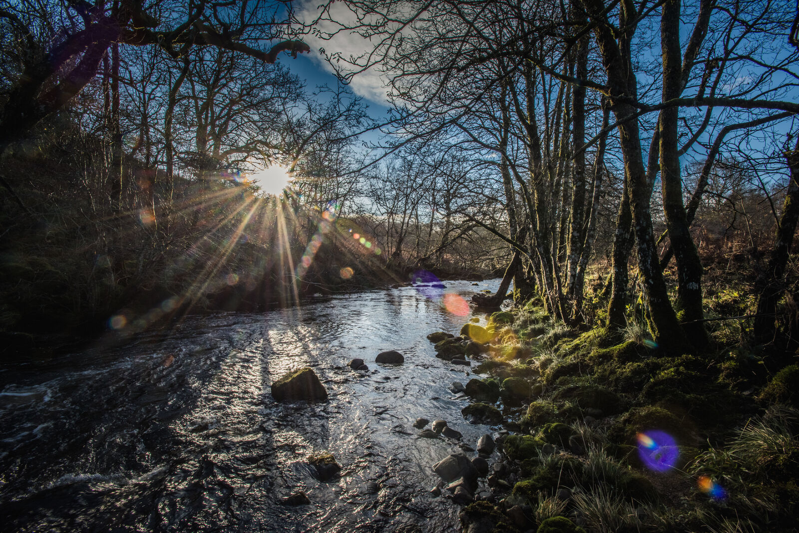 Our Work - Tarras Valley Nature Reserve