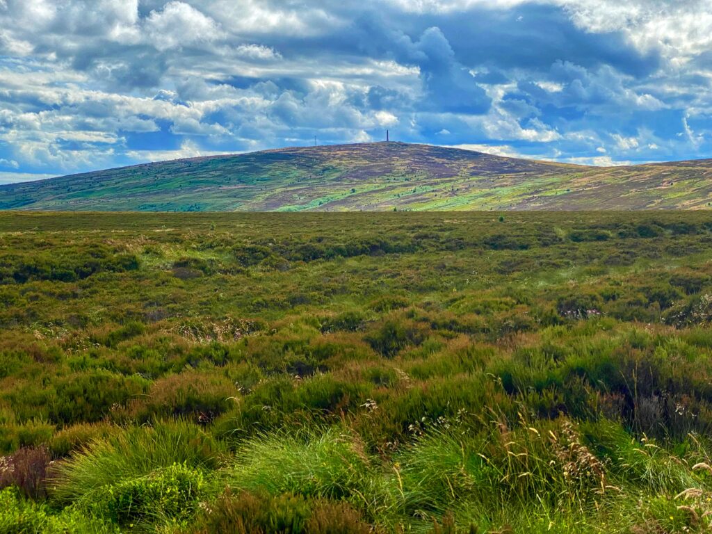 Habitats - Tarras Valley Nature Reserve