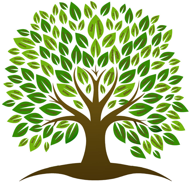 Take a walk through our virtual donors woodland - Tarras Valley Nature ...