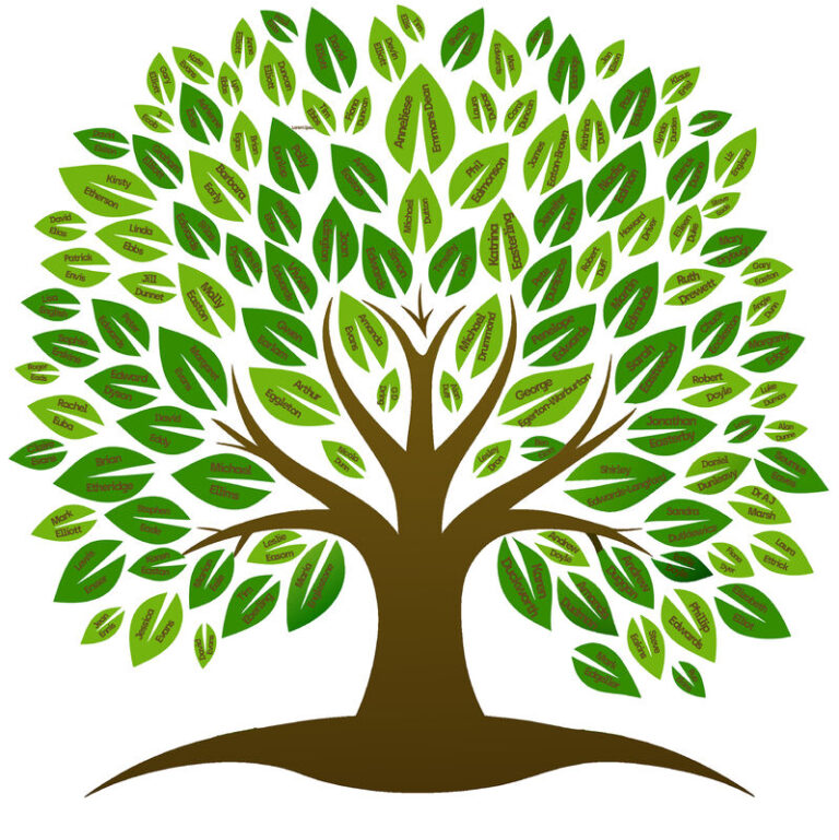 Take a walk through our virtual donors woodland - Tarras Valley Nature ...