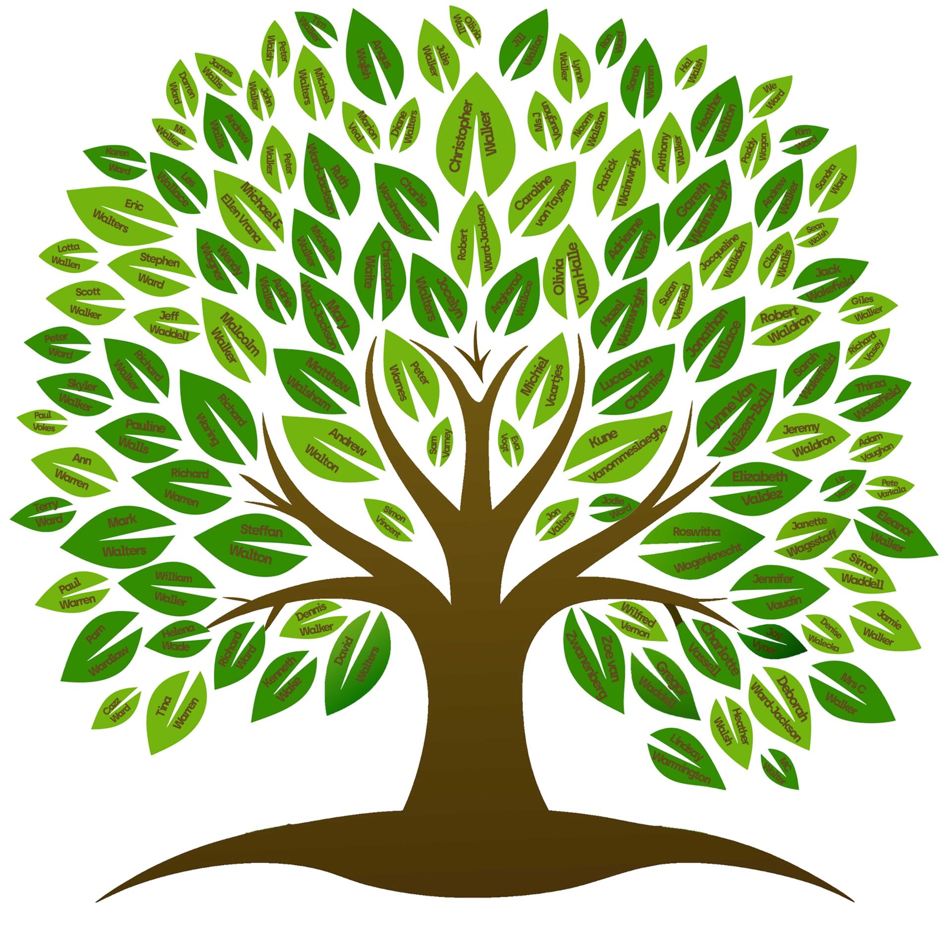 Take a walk through our virtual donors woodland page 4 - Tarras Valley ...