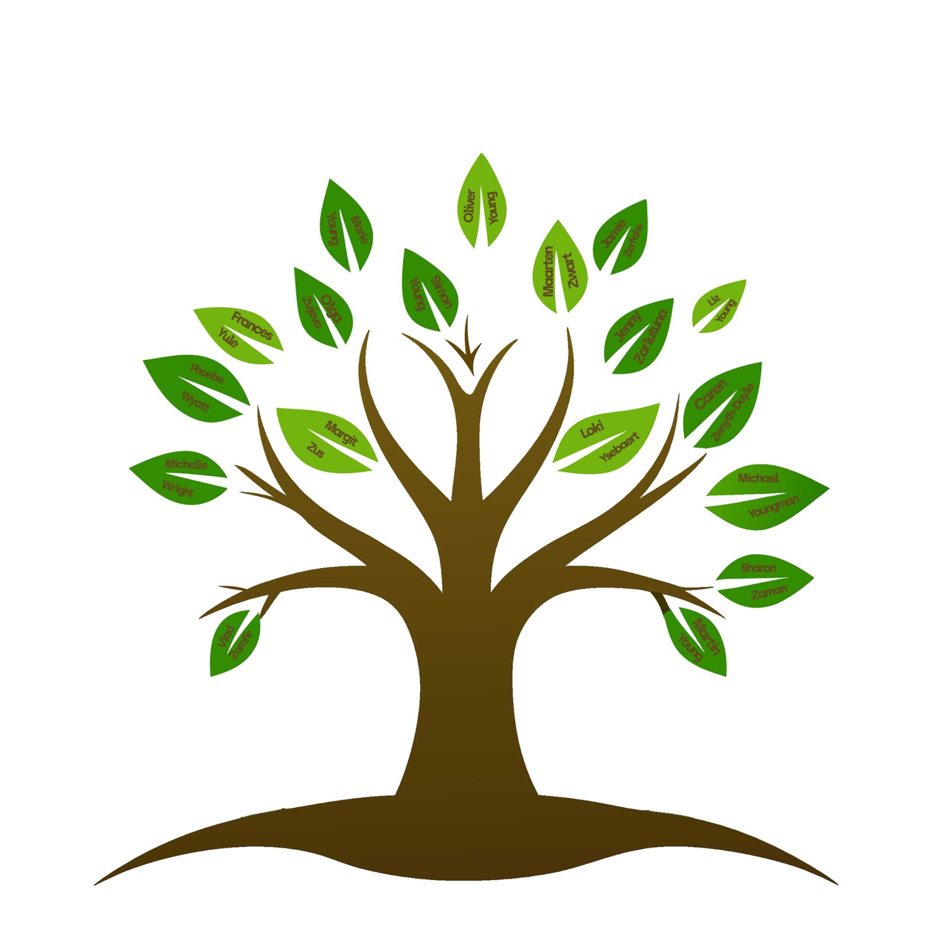 Take a walk through our virtual donors woodland page 4 - Tarras Valley ...